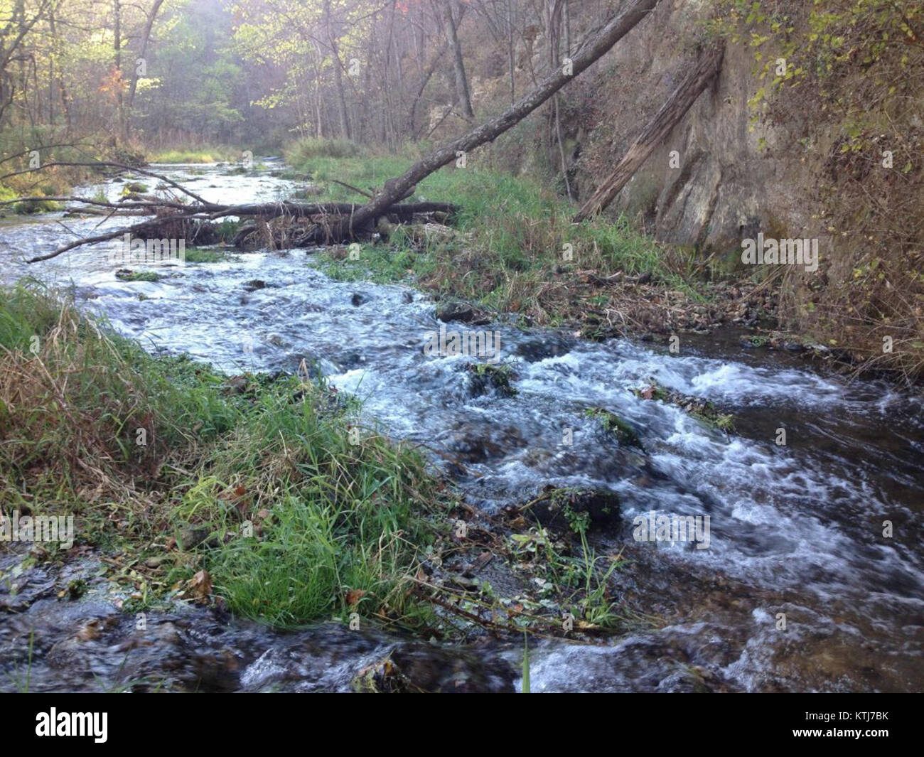 BeaverStream refers to a water body or stream in a natural environment ...