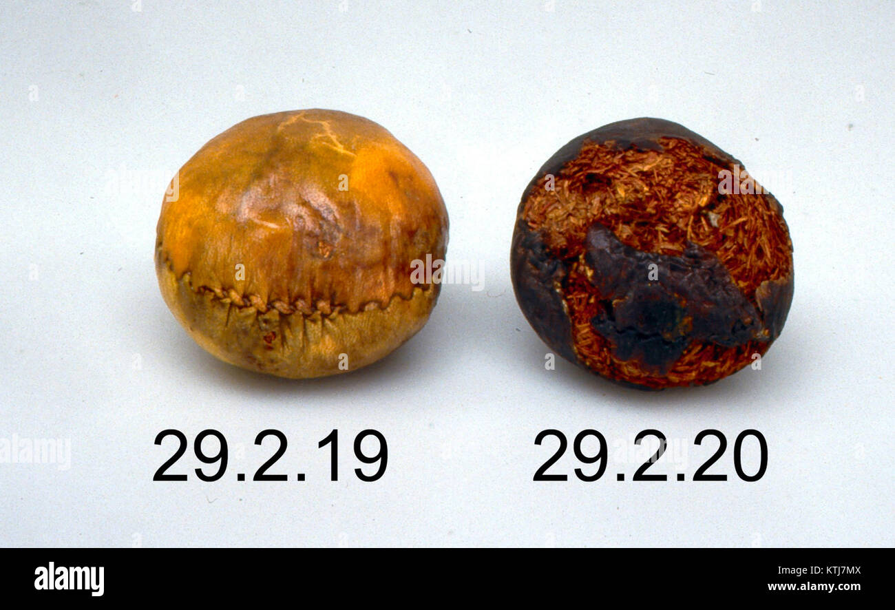 This image captures a significant moment from the 2012 MET Ball, held ...