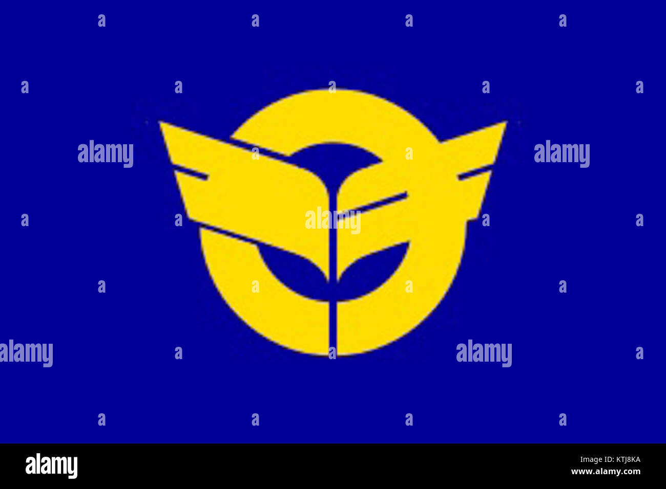 The Flag of Kin, Okinawa, represents the cultural and historical ...