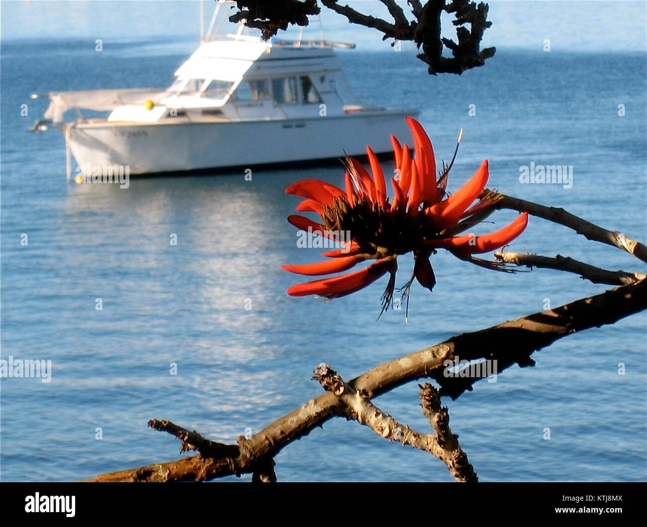 Photograph capturing a scene from Australia in July 2008, highlighting ...