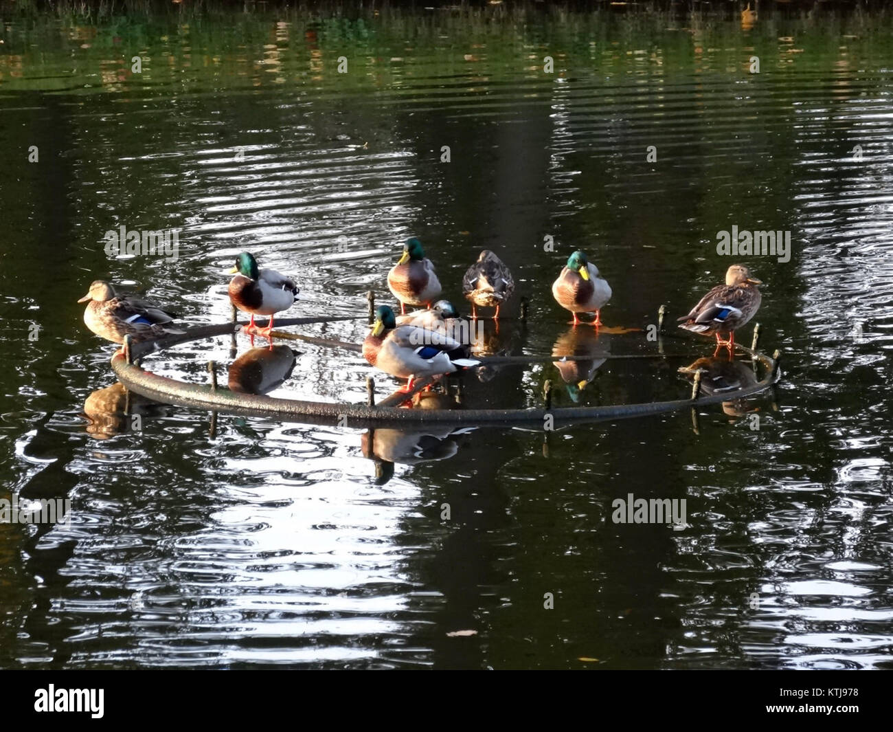 This image from 2013 features the Bdg plantynadKB, an agricultural ...