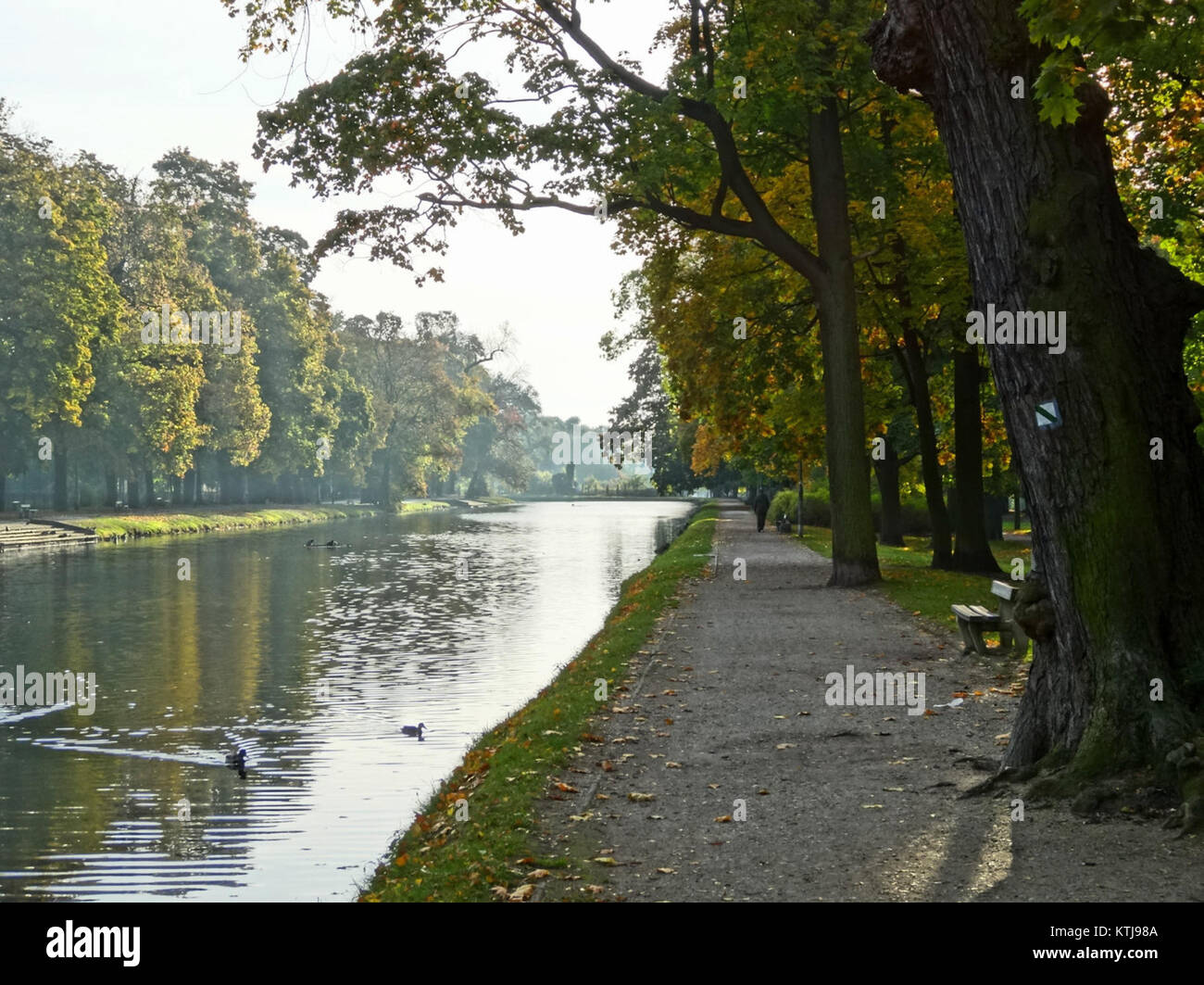 Community tree planting event hi-res stock photography and images - Alamy