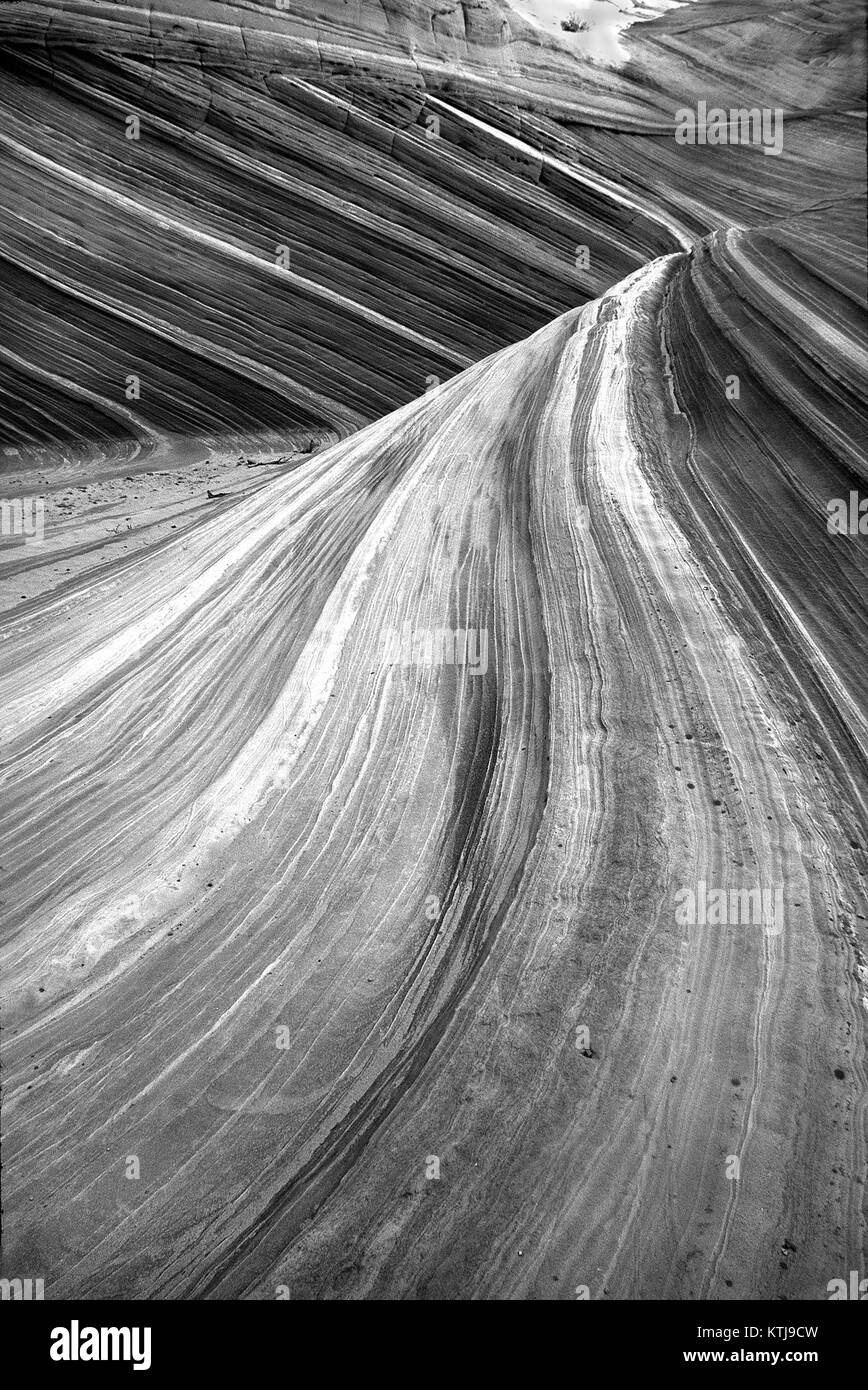 Wave process Black and White Stock Photos & Images - Alamy