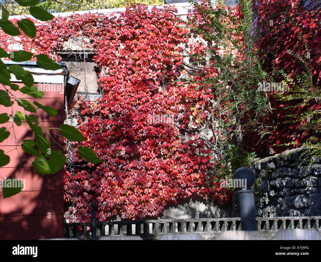 A scenic photograph of Cincinnati, Ohio, during the autumn season ...