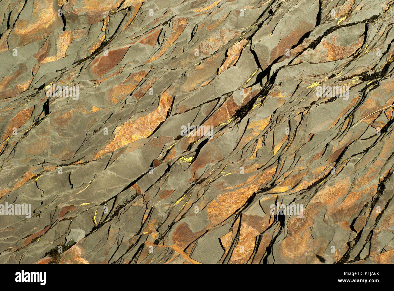 background, rock texture - dark brown natural shale with light brown ...