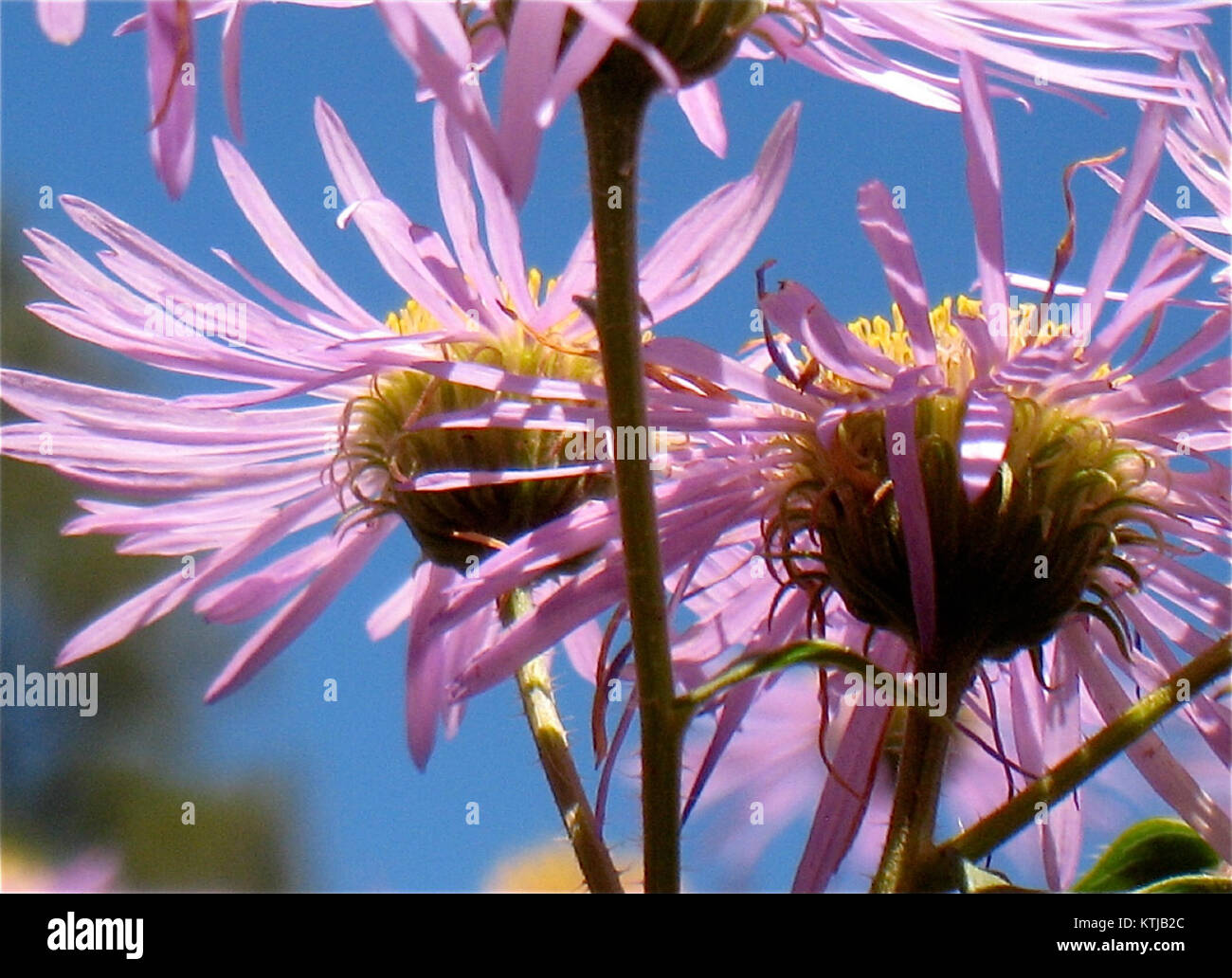 Image shows unique perspective hi-res stock photography and images - Alamy