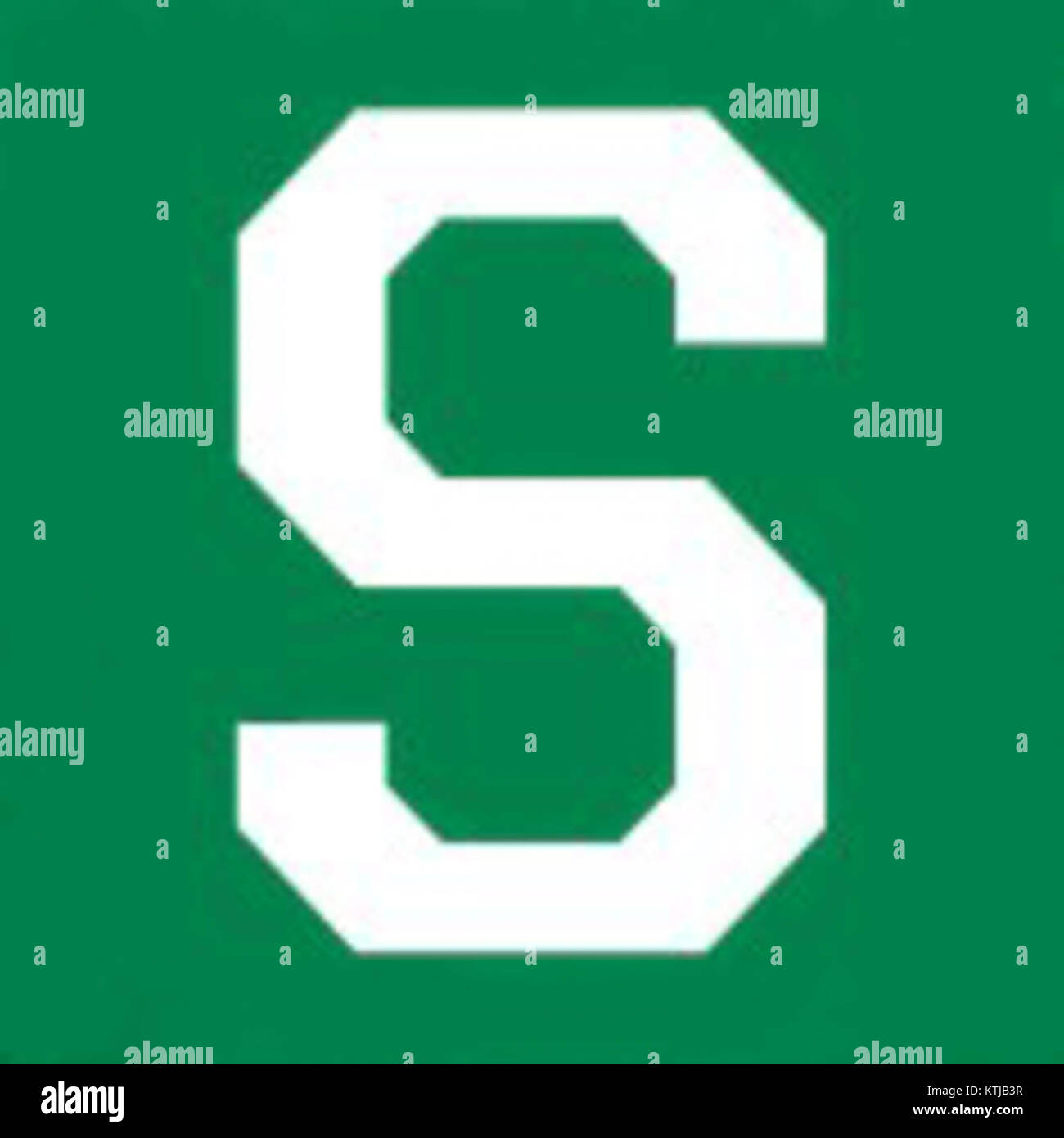 The Block Letter White S Green BG refers to a specific design element ...