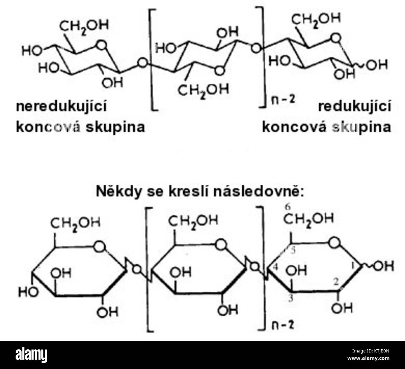 Celuloza Cut Out Stock Images & Pictures - Alamy