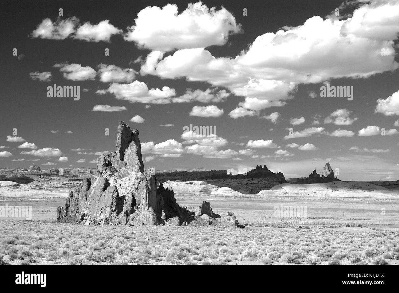 Study in nature near Black and White Stock Photos & Images - Alamy