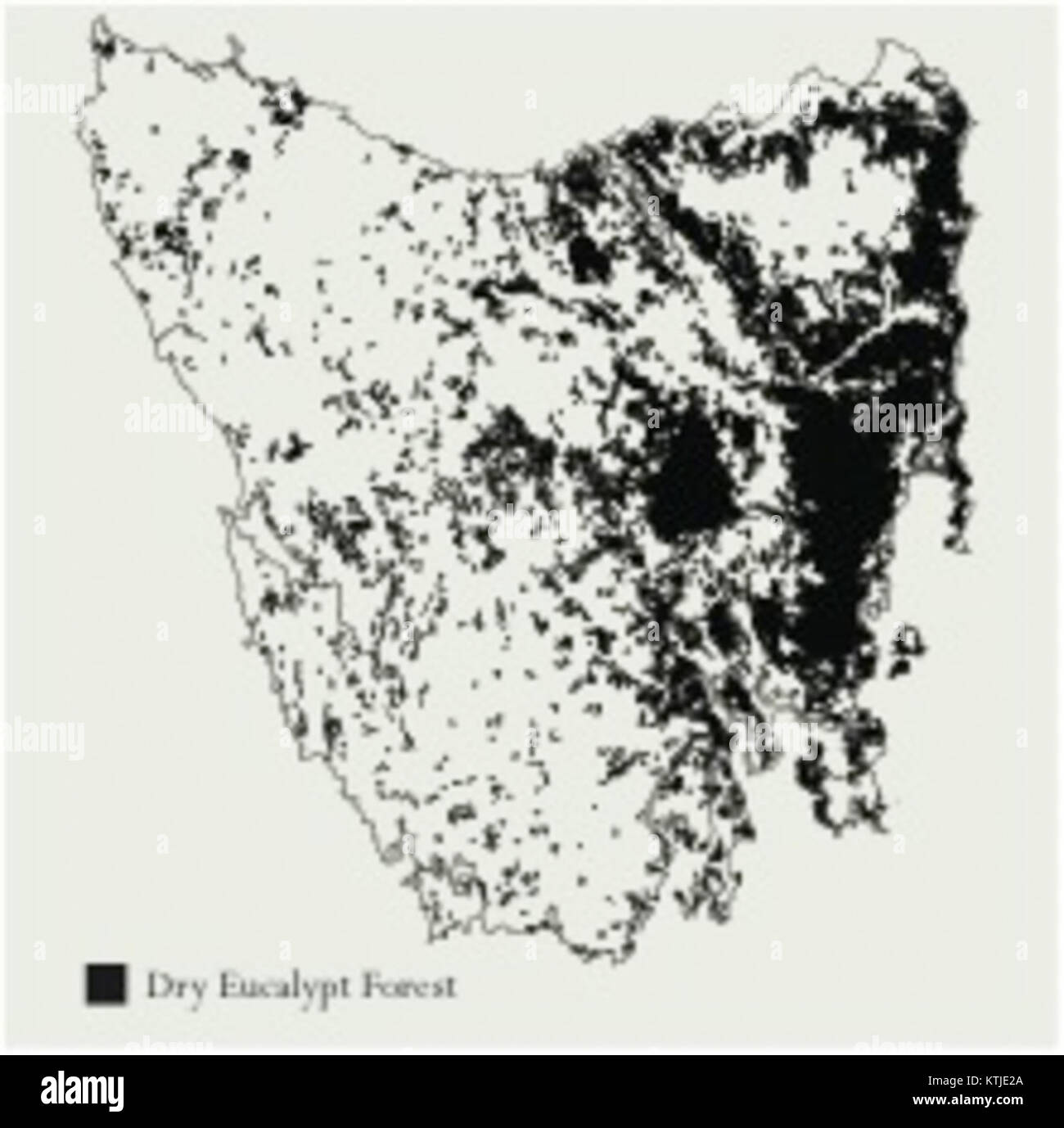 The dry sclerophyll forest in Tasmania is a unique ecological region ...