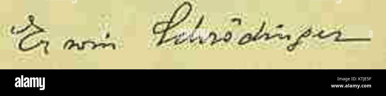The signature of Erwin, whose identity and contributions would be ...