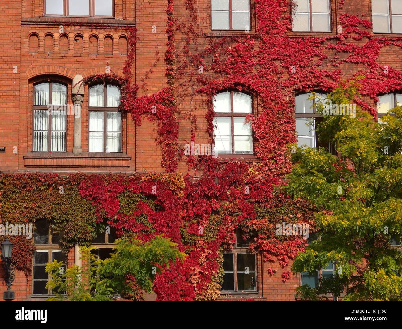 International labour organization (ilo) hi-res stock photography and ...