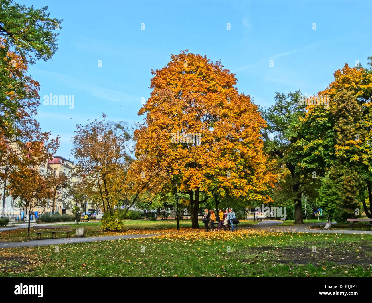 Event in green park hi-res stock photography and images - Alamy