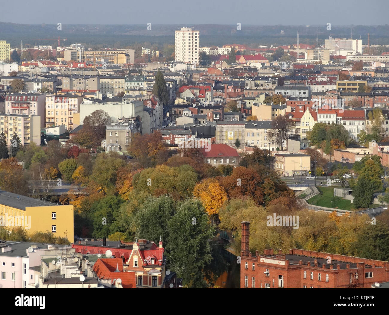 NT 1526 086 refers to an identification number associated with an artifact or object, possibly ...