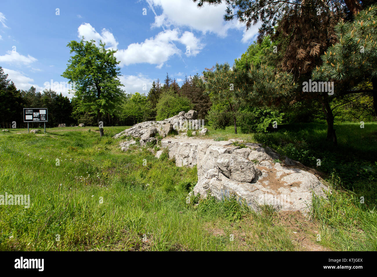 Hitler's headquarters at 8 km from Vinnitsa (Ukraine), near the village ...