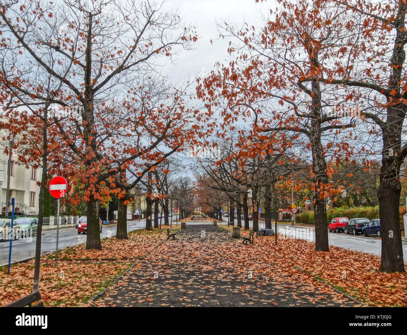 A building in the Ossolinskich area, highlighted for its architectural ...