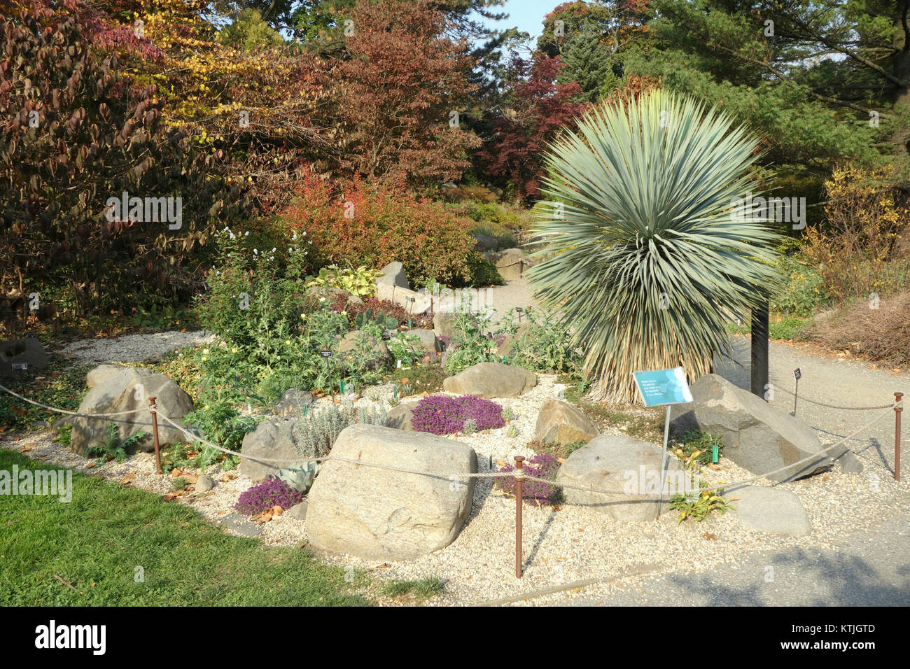 Brooklyn botanic gardens view hi-res stock photography and images - Alamy