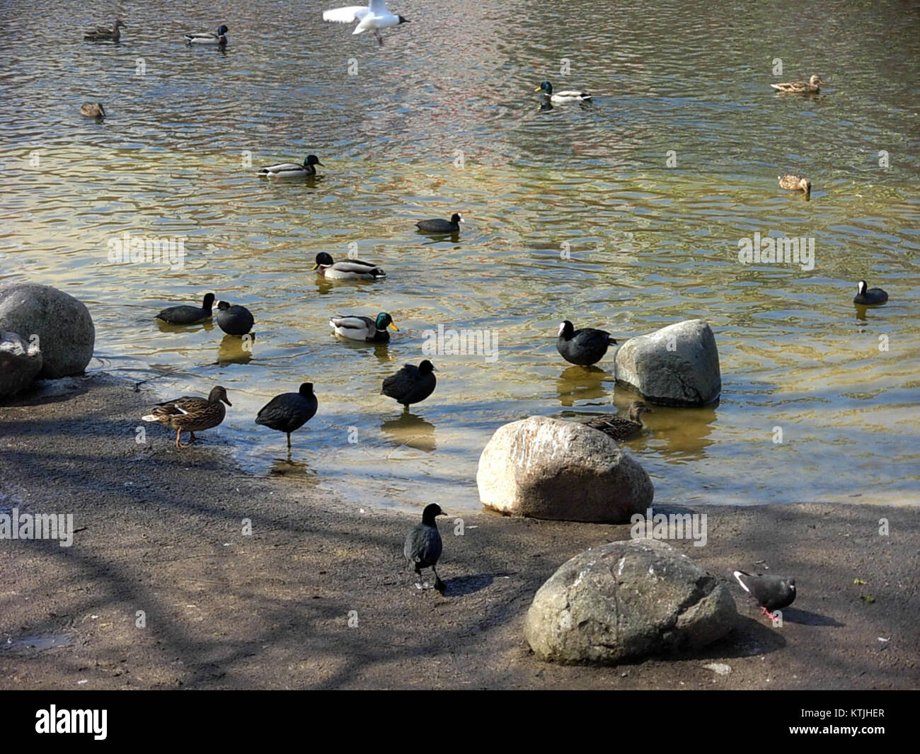 Bartodzieje, located near the Balaton region, is known for its bird ...