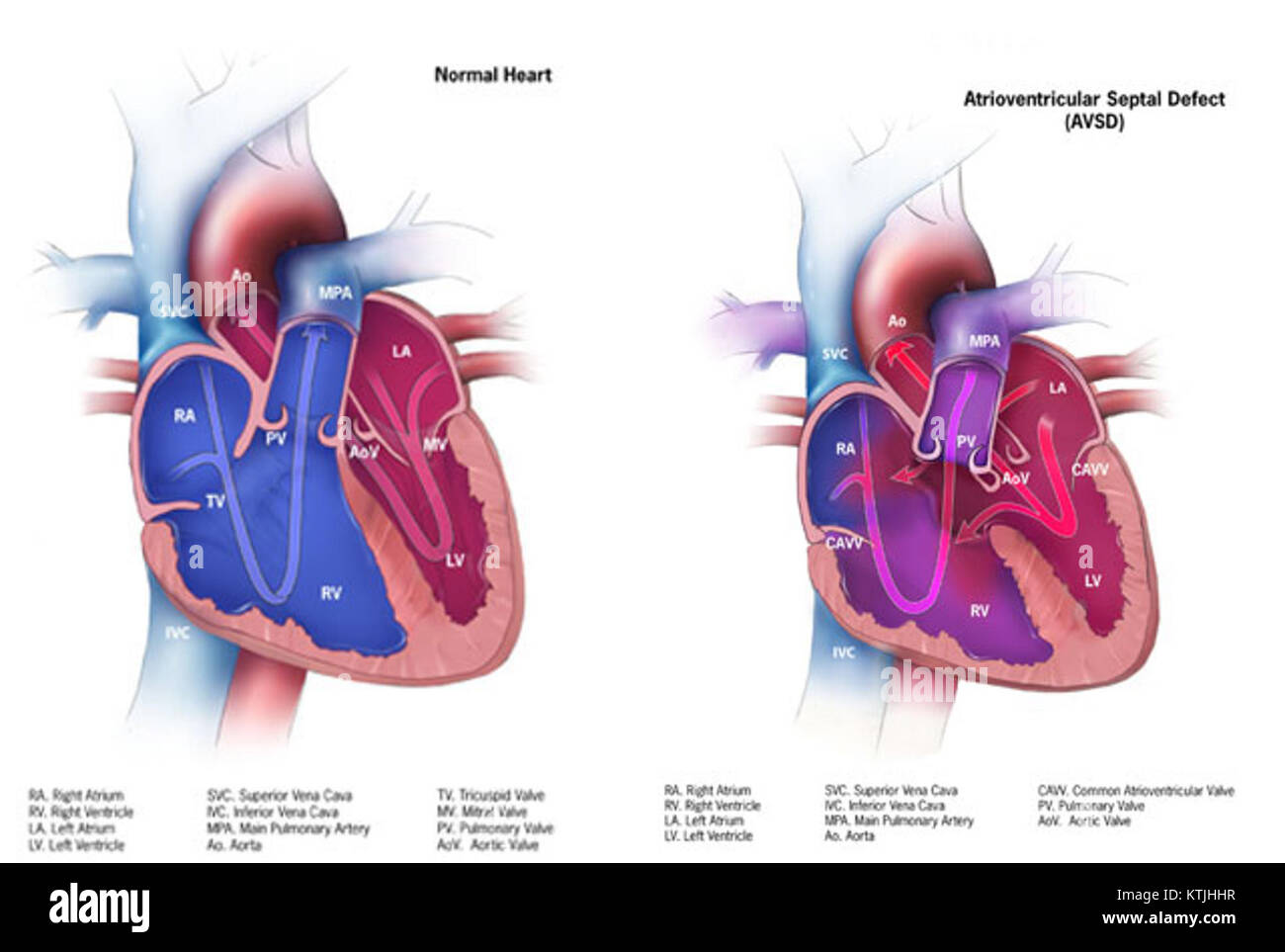 Location assessment Cut Out Stock Images & Pictures - Alamy