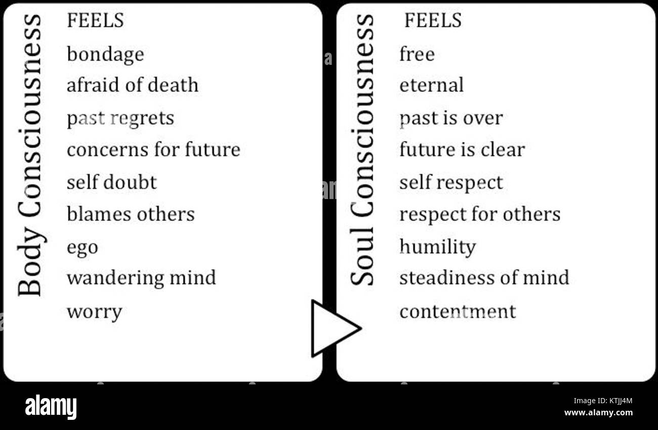 Figure 33. Contrast between the experiences of body consciousness and ...