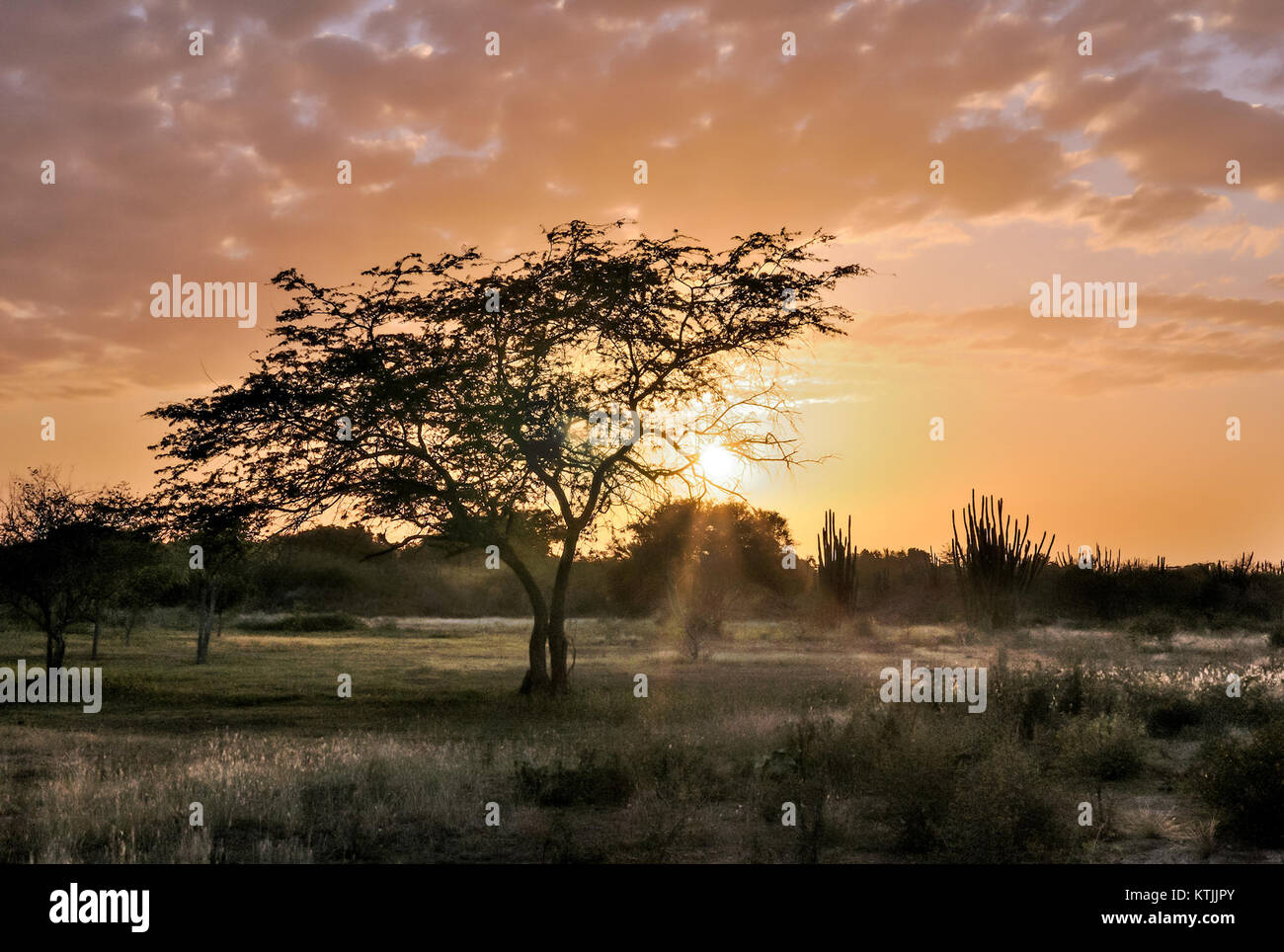This stunning image of a backlit sunset on Margarita Island, Venezuela ...