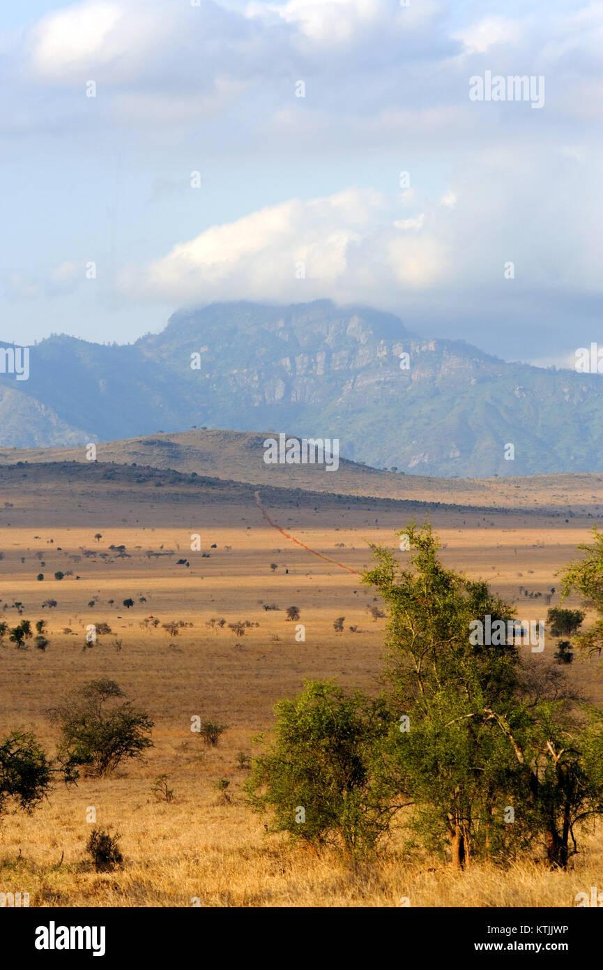Savannah landscape in the National park of Kenya, Africa Stock Photo ...