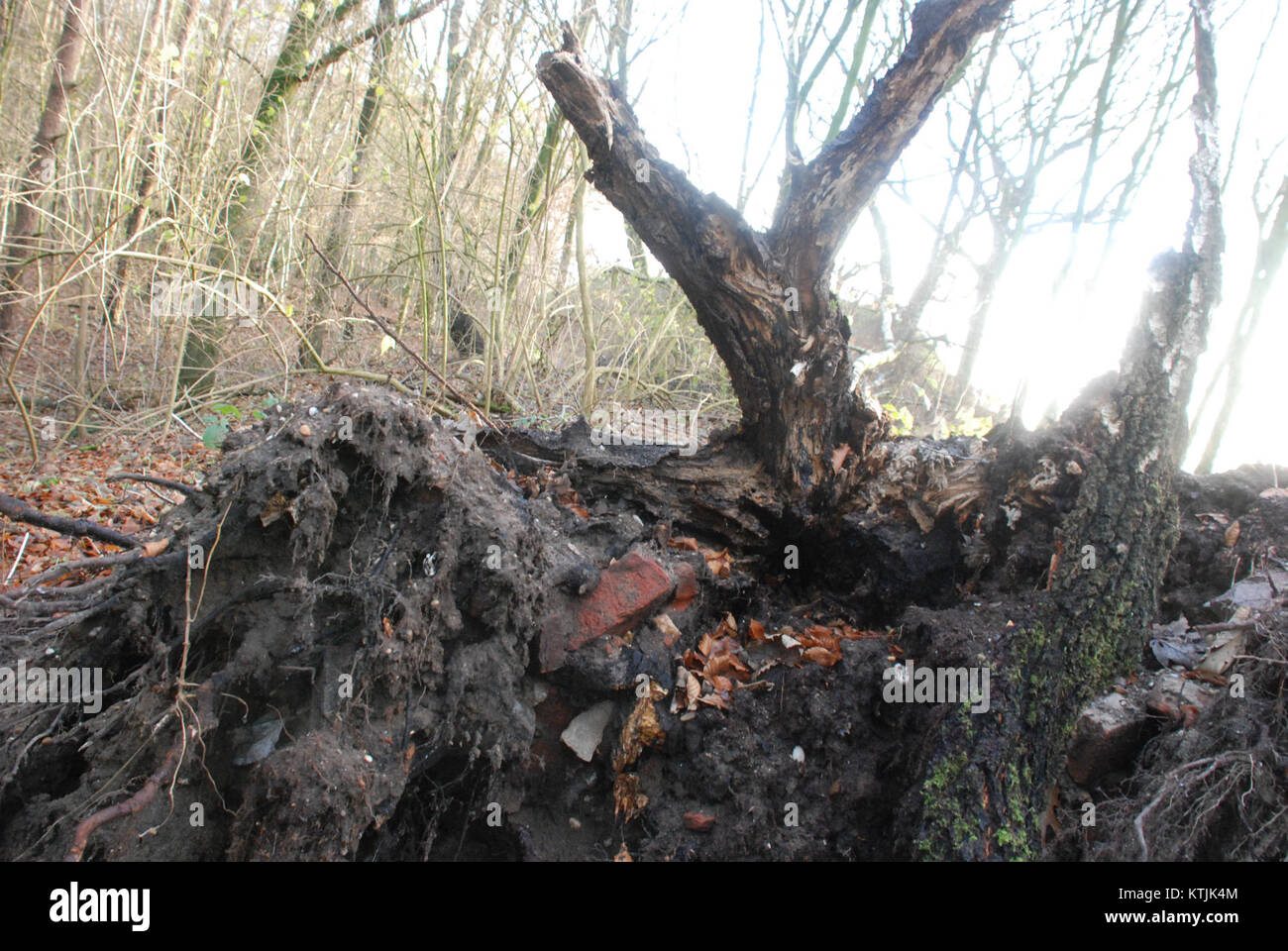 Waste disposal methods hi-res stock photography and images - Alamy