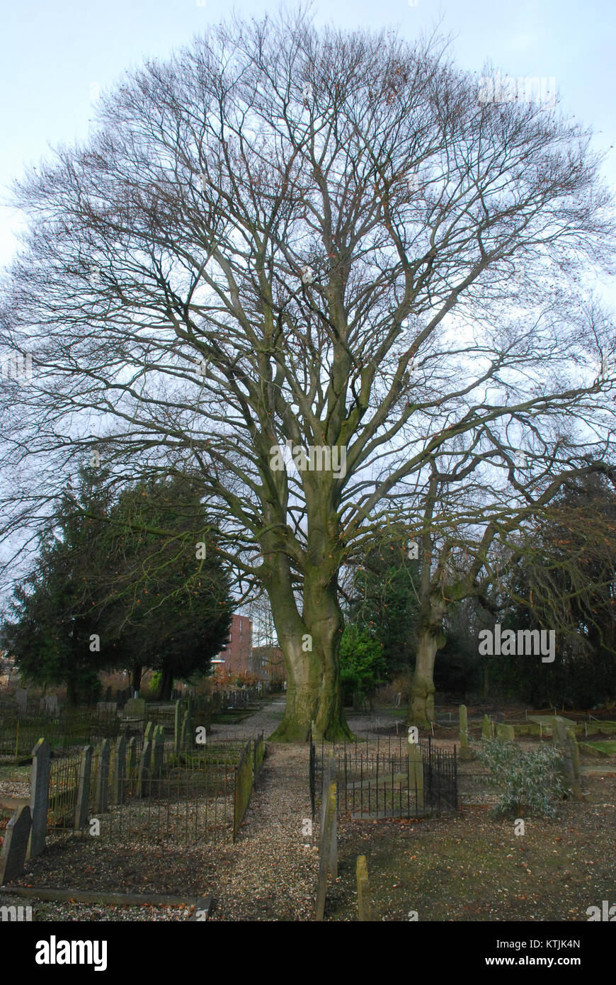 Begraafplaats Rheden is a cemetery located in Rheden, Netherlands. The cemetery holds historical ...