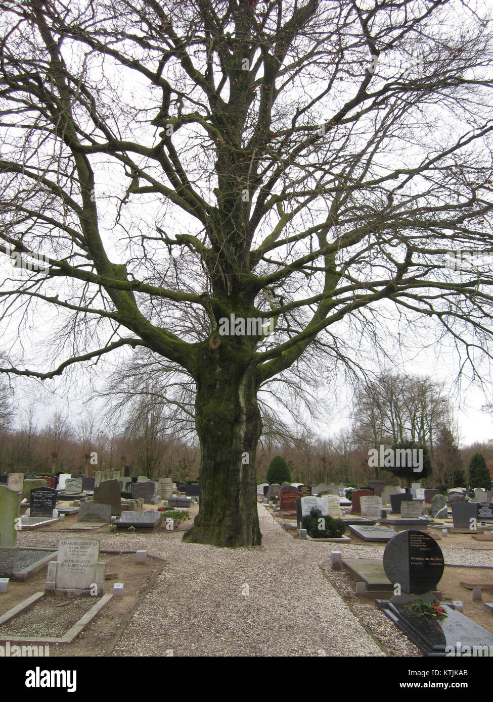 The Begraafplaats Heelsum is a cemetery located in Heelsum, the ...