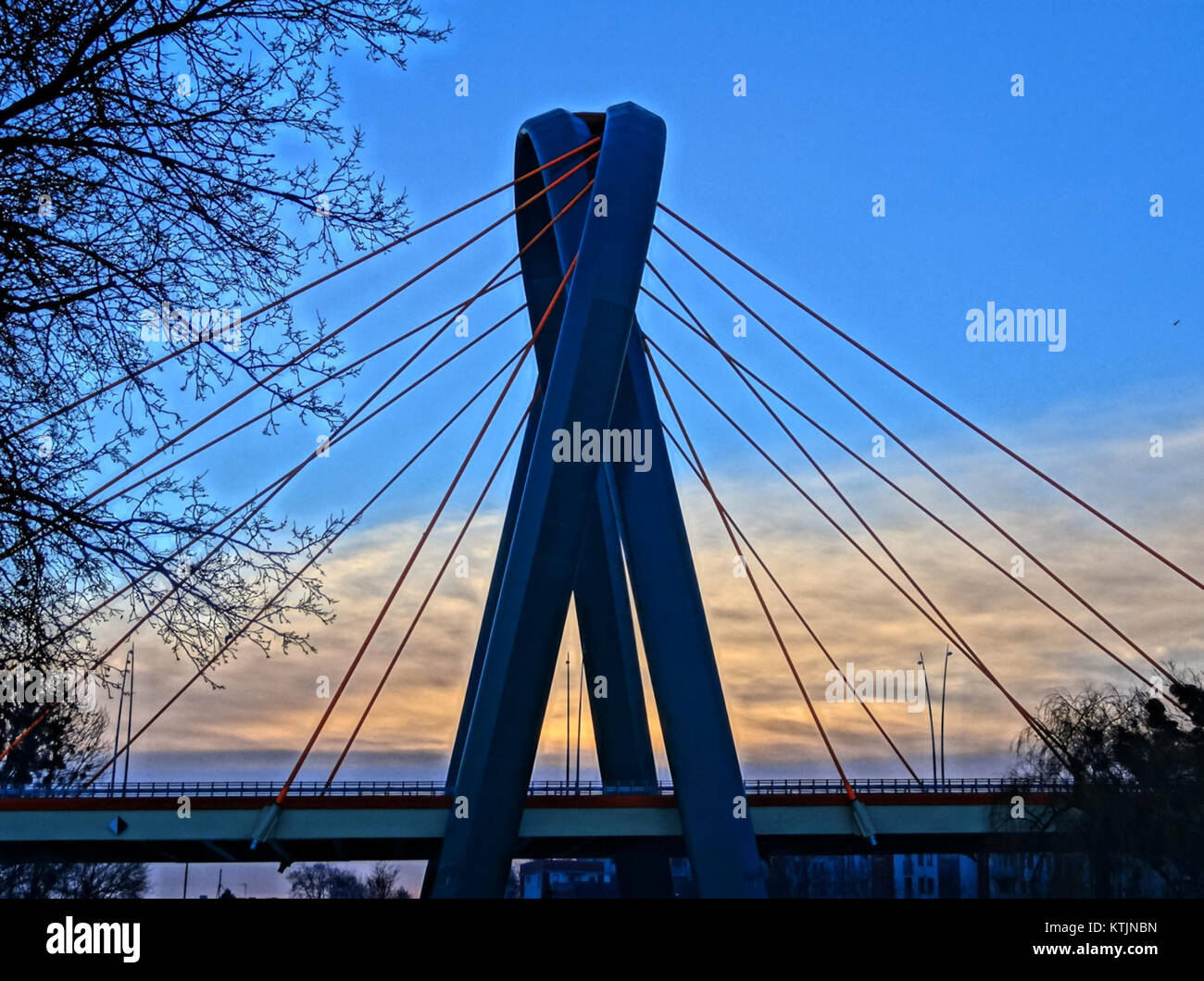 This image depicts the pylon structure, likely part of an ...