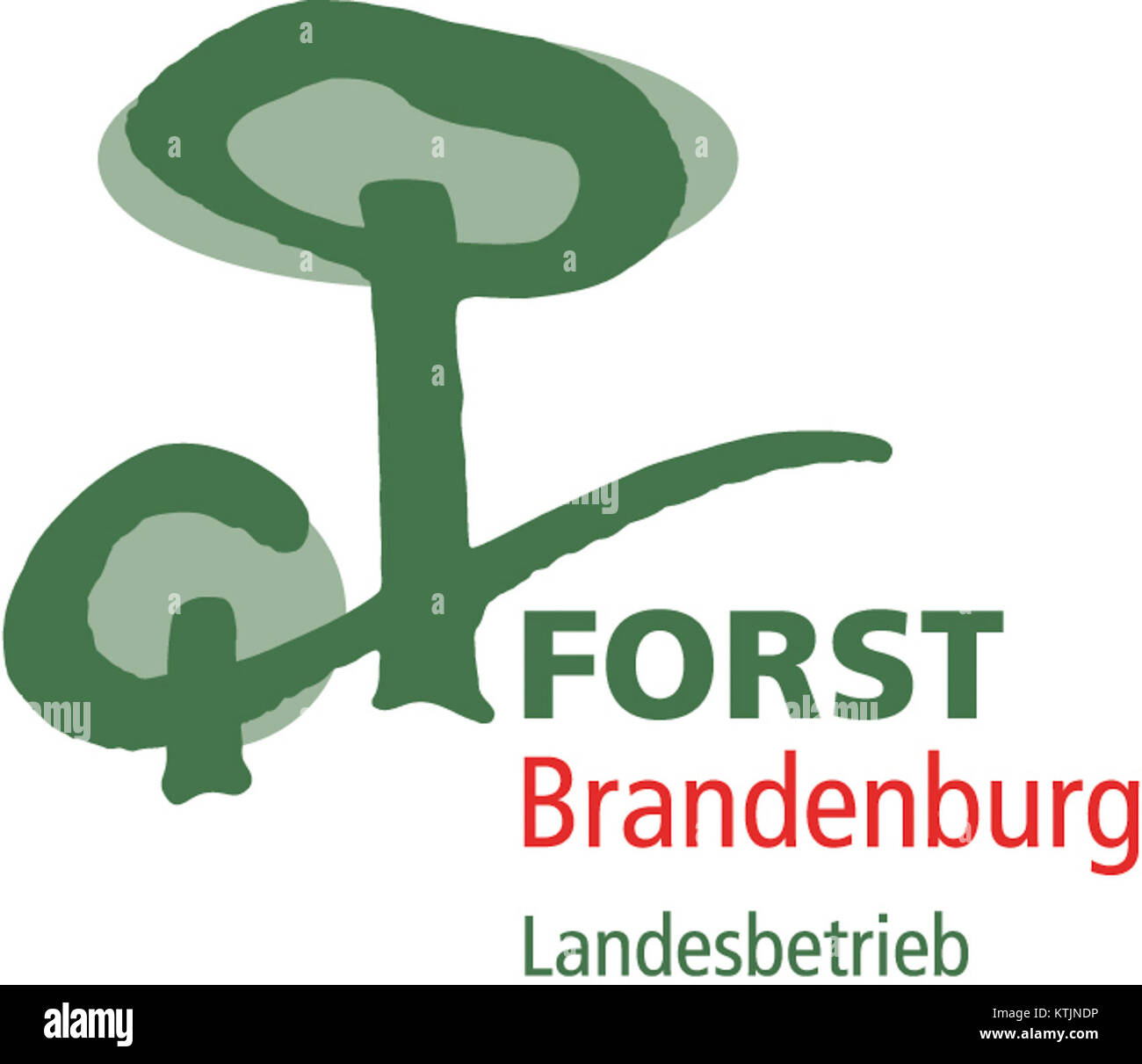 The Forst logo represents a forestry-related organization or initiative ...