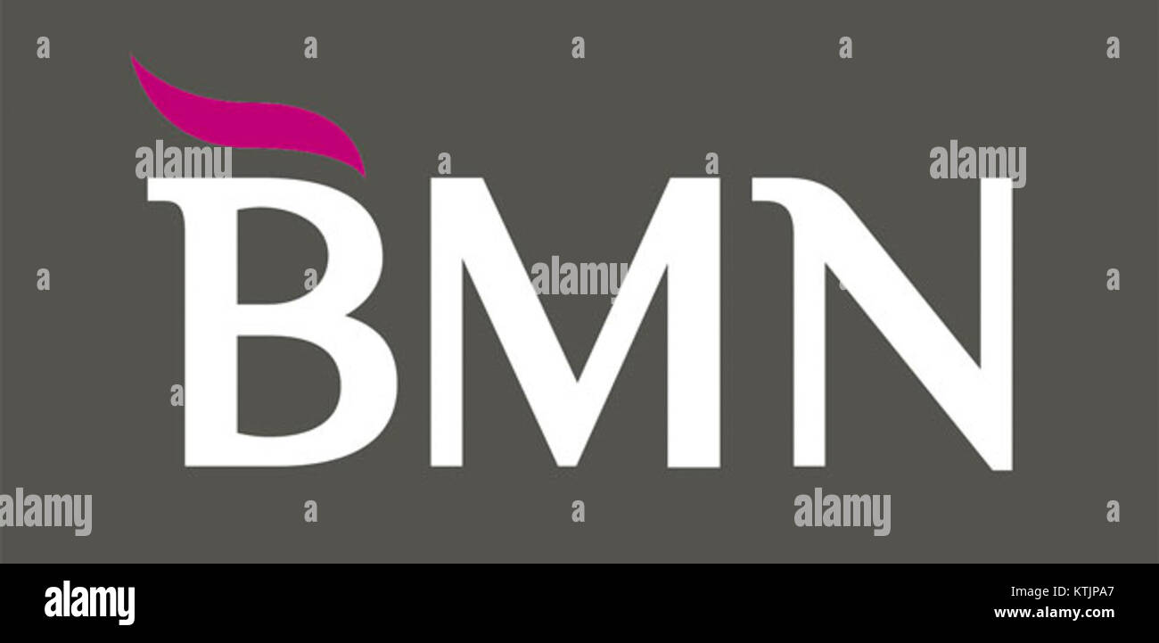 BMN's new logo represents a modern and refreshed visual identity for ...