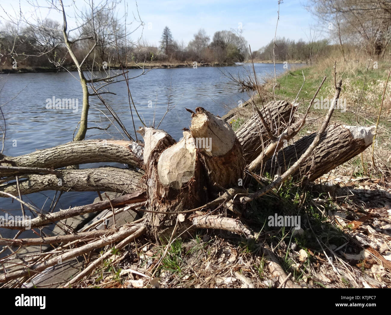 Old gsp hi-res stock photography and images - Alamy