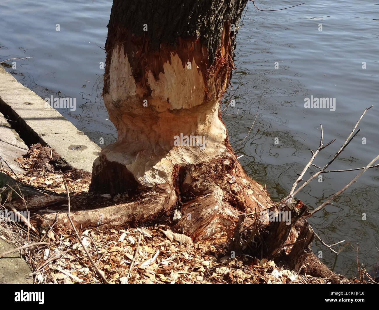 Old gsp hi-res stock photography and images - Alamy