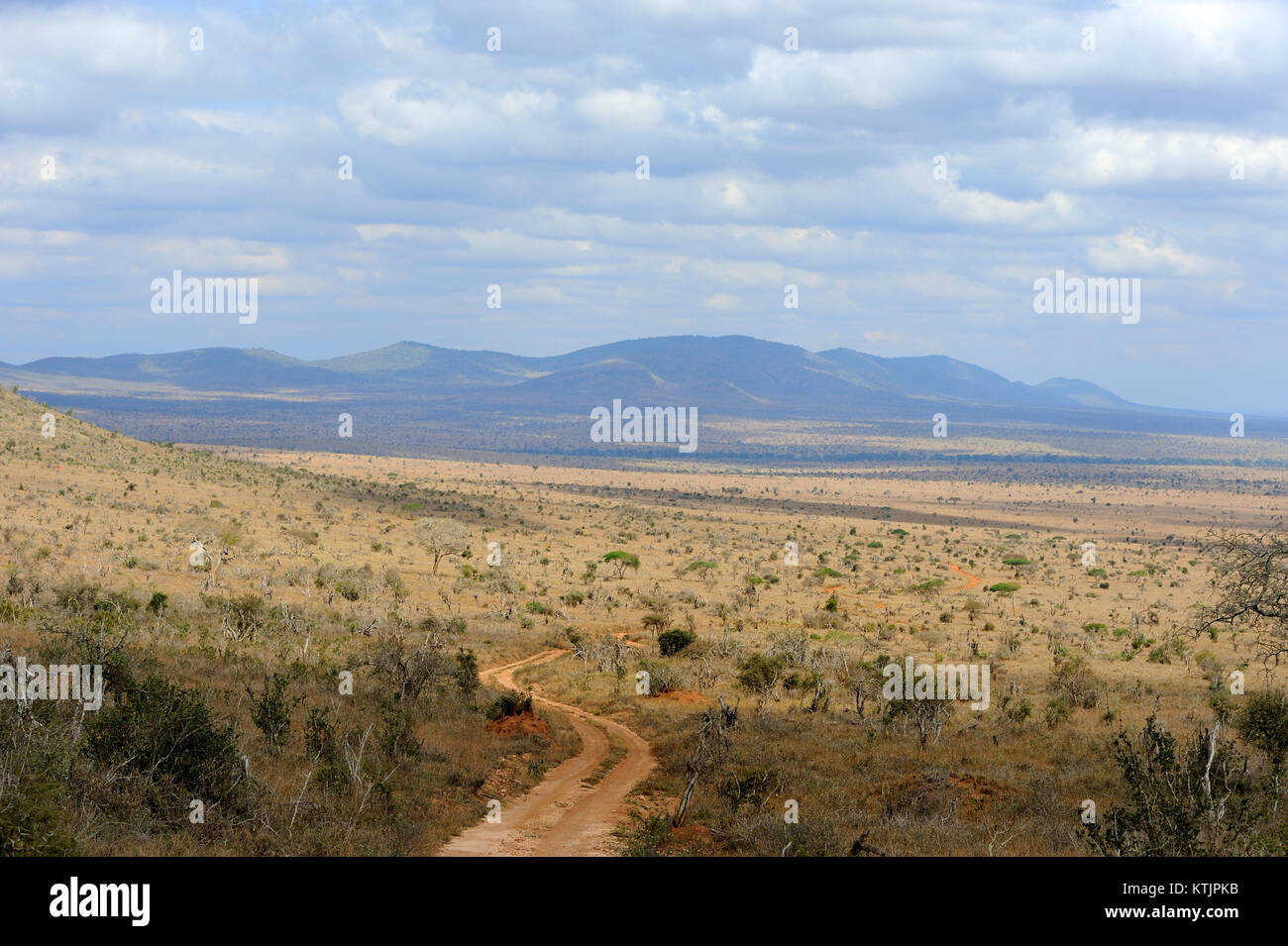 Savannah landscape in the National park of Kenya, Africa Stock Photo ...