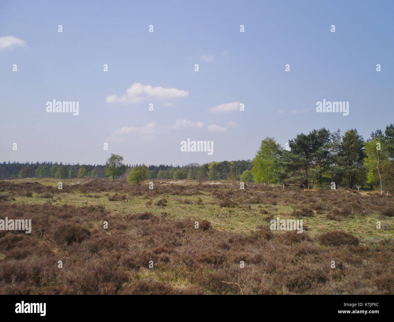 Stulp High Resolution Stock Photography and Images - Alamy
