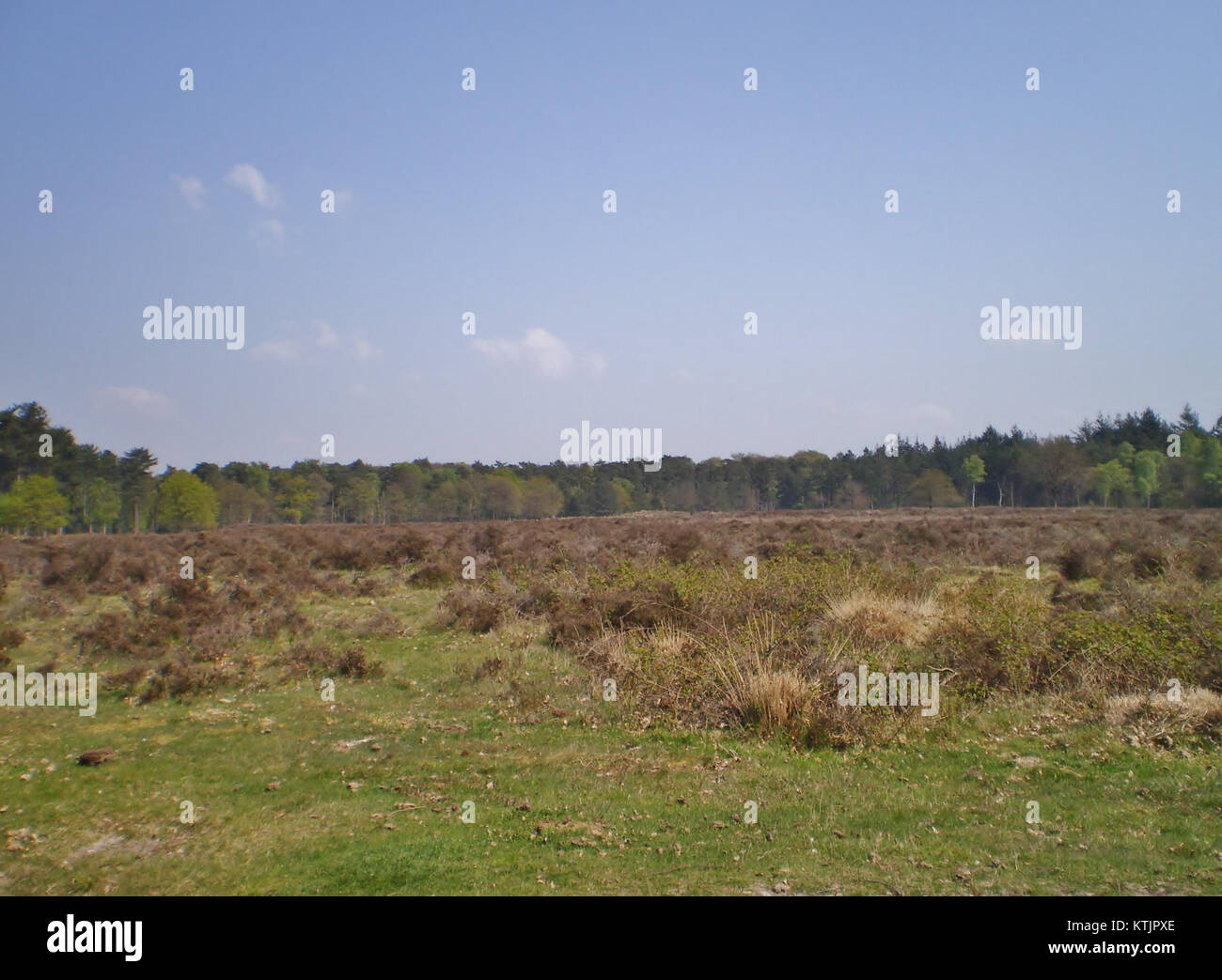 De Stulp is a historic building located in Baarn, Netherlands. Known ...