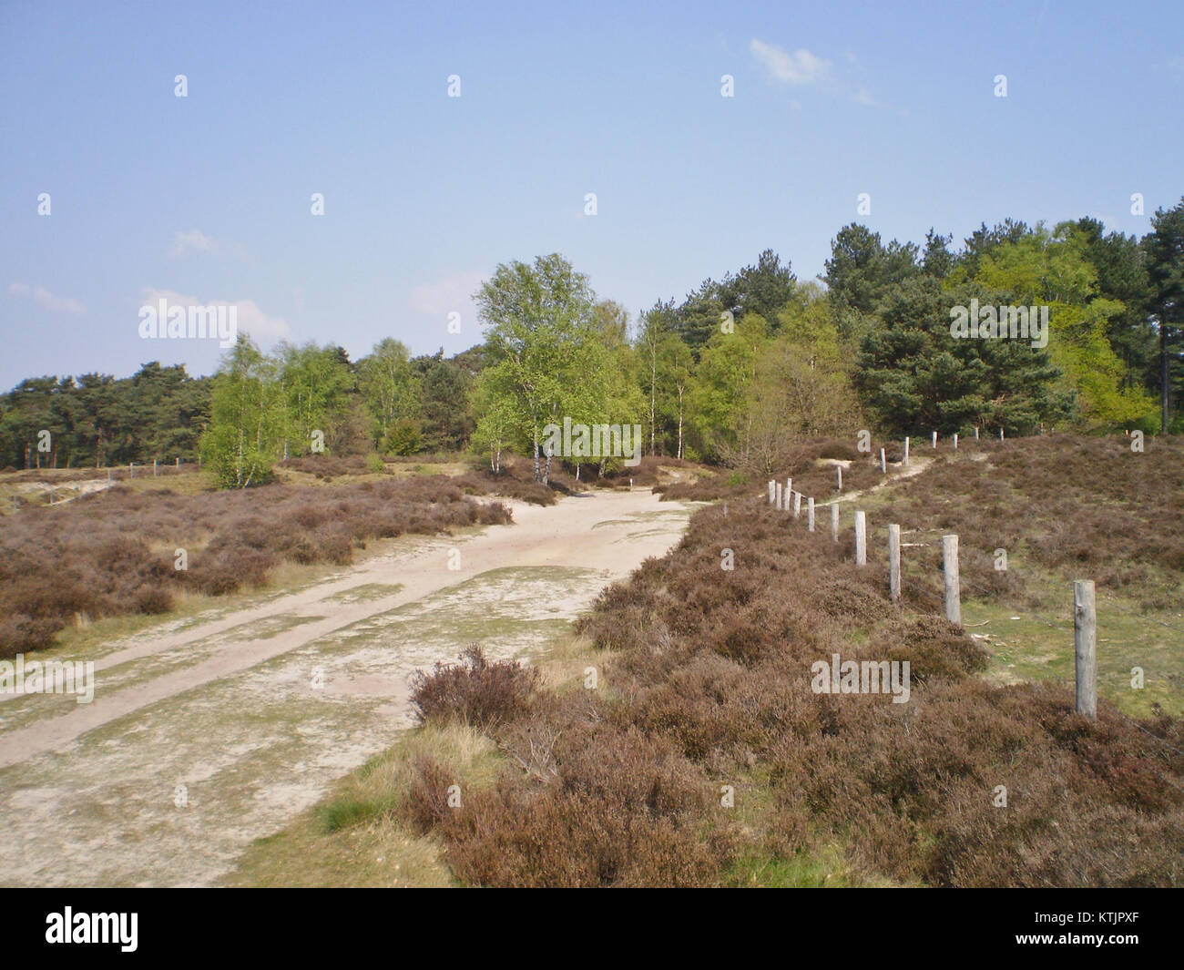 Baarn De Stulp 98 Stock Photo - Alamy