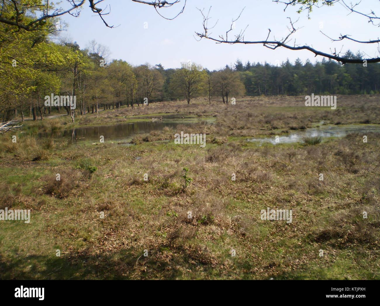 De stulp hi-res stock photography and images - Alamy
