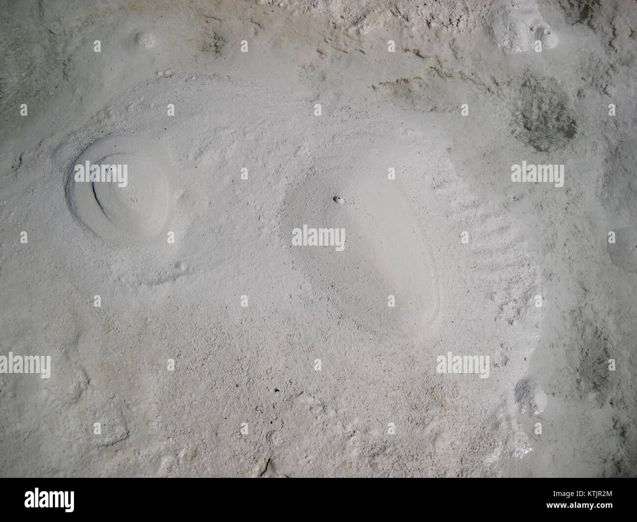 The 2009 image from the Bahamas captures the natural beauty and ...