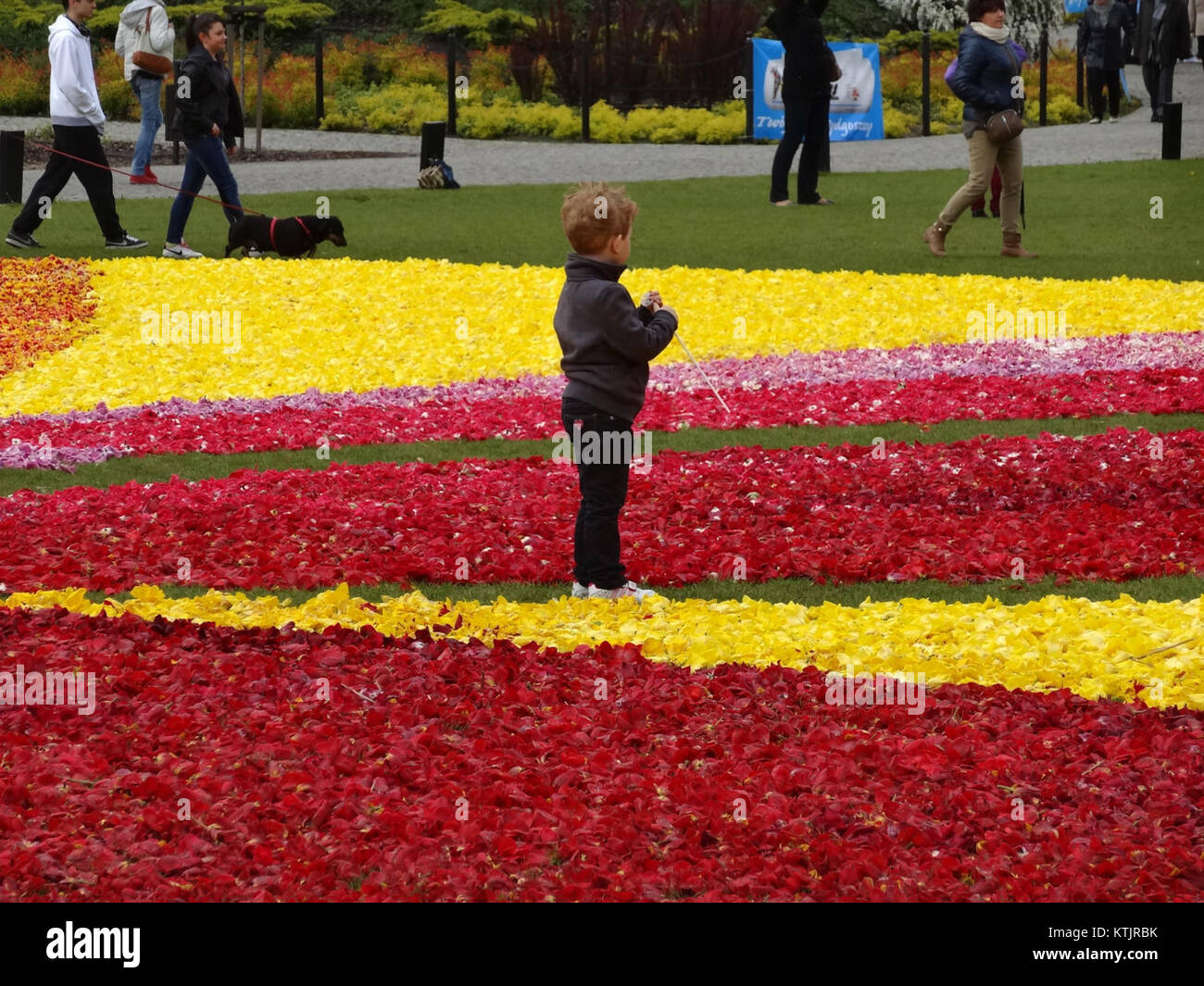 A floral-patterned carpet from 2014, featuring intricate designs and ...