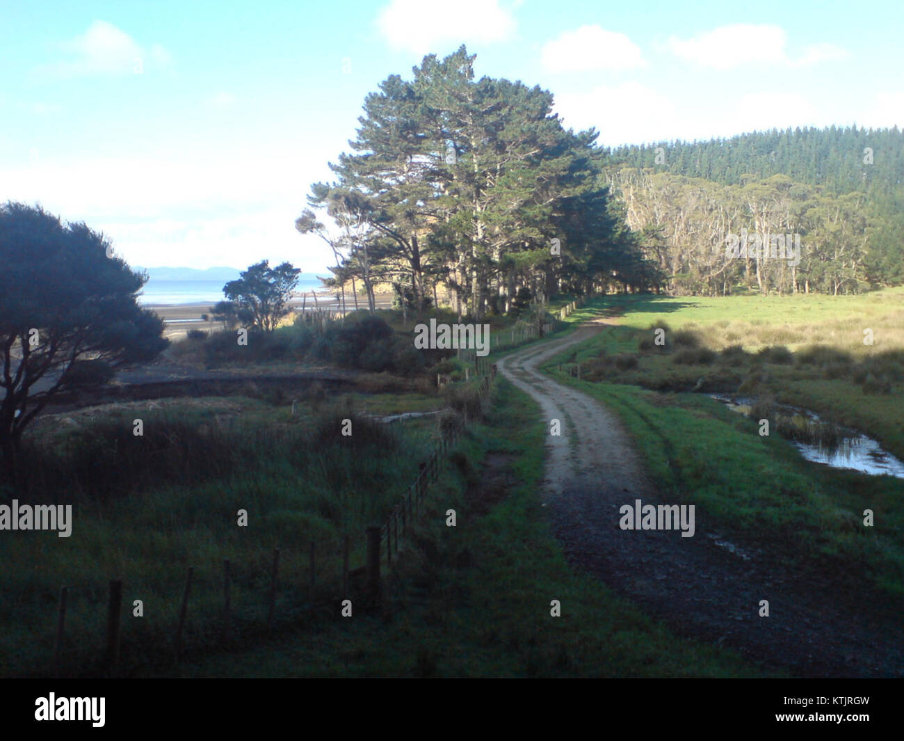 This image captures the serene landscape of the beaches west of Kaipara ...