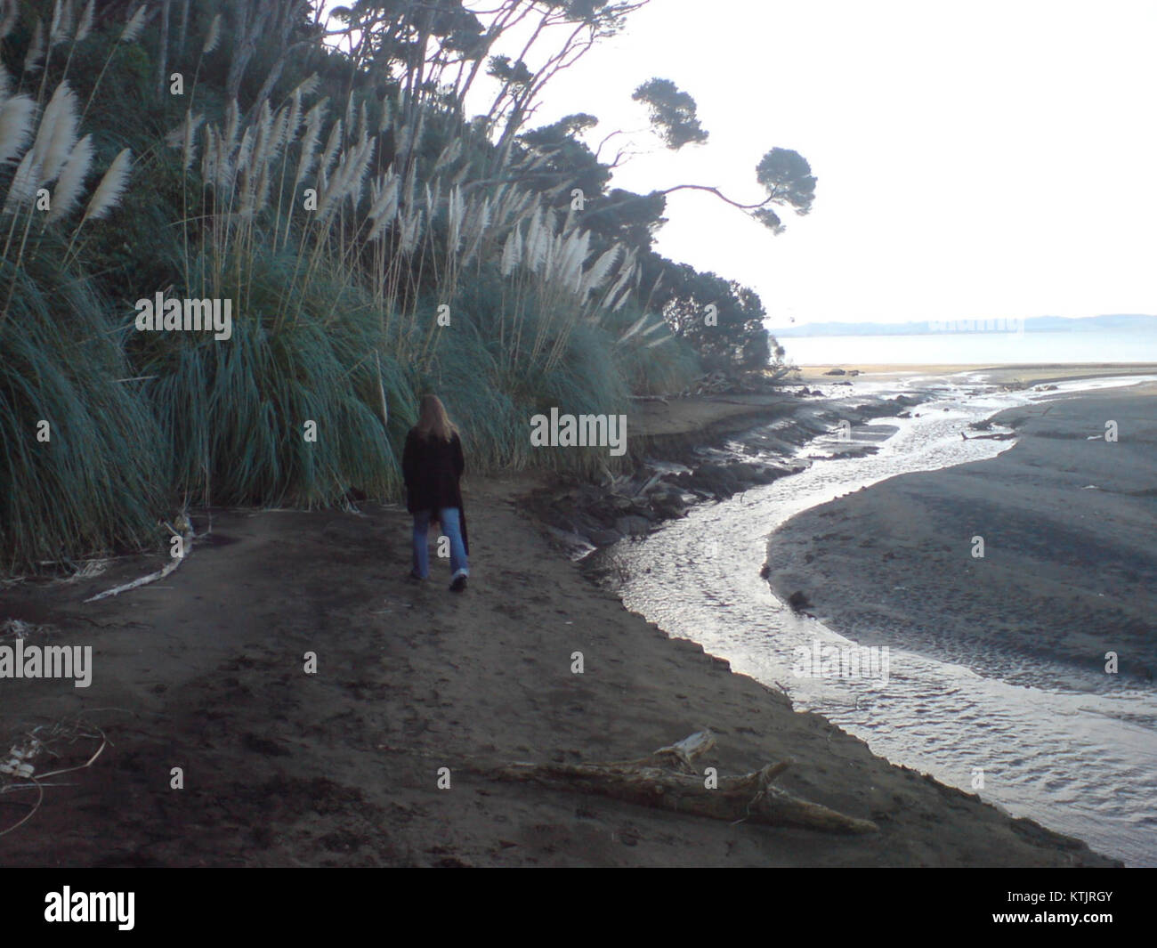 The beaches west of Kaipara Harbour, located in New Zealand, are known ...