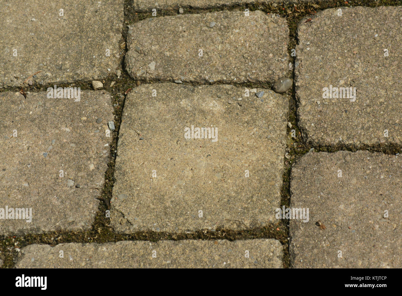 Beige paving stones are a type of stone commonly used for outdoor ...