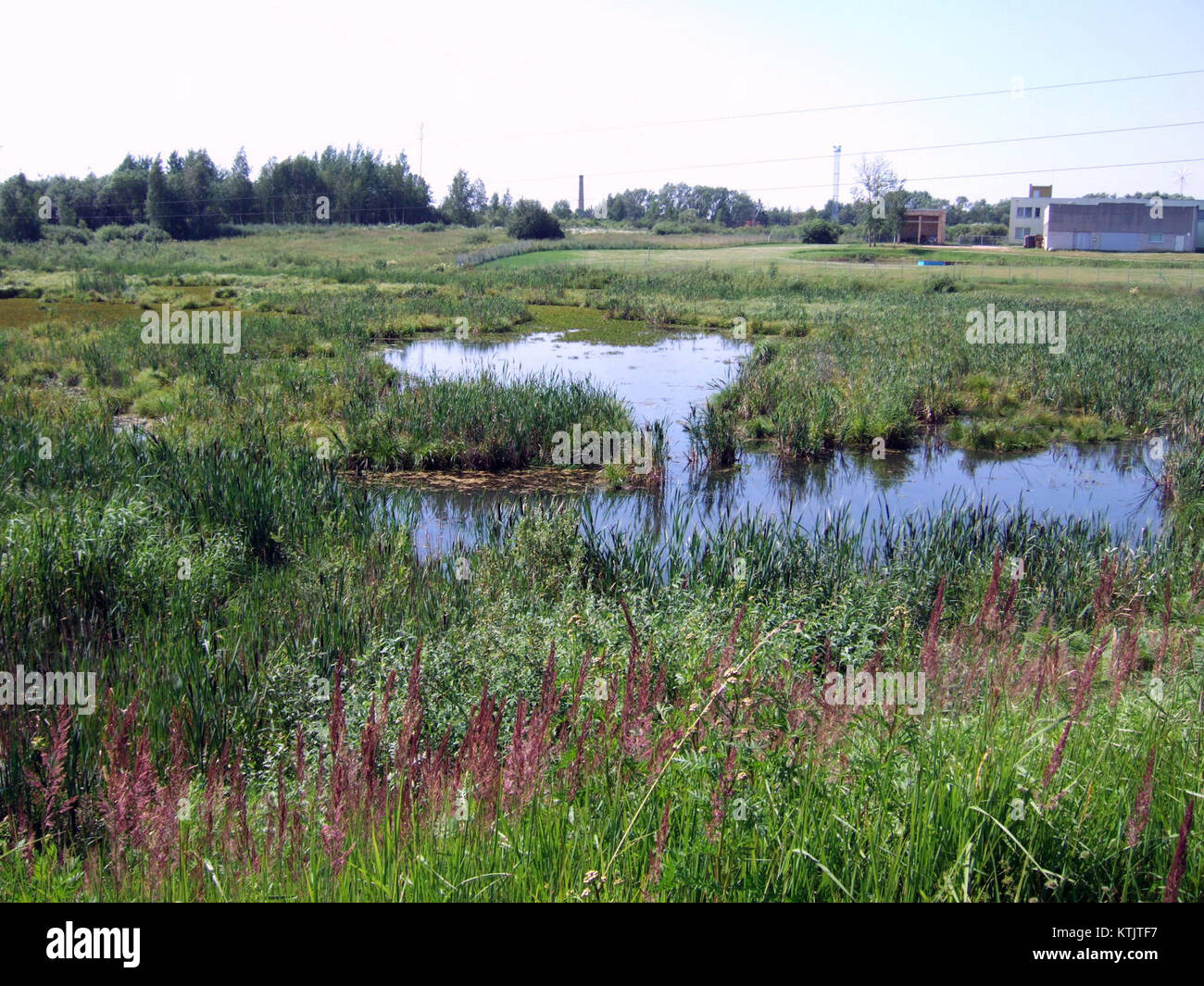 Vievis hi-res stock photography and images - Alamy