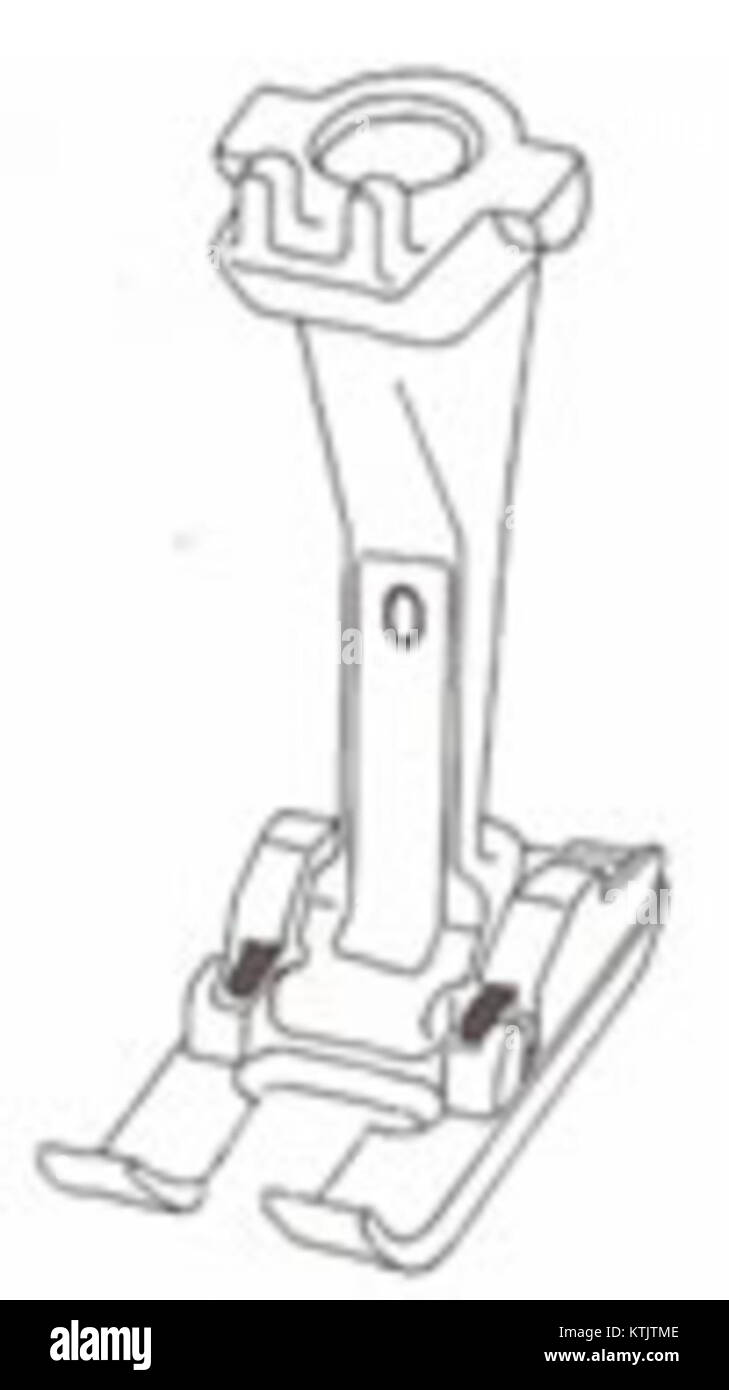 A cutaway diagram of a standard foot, illustrating the internal and ...