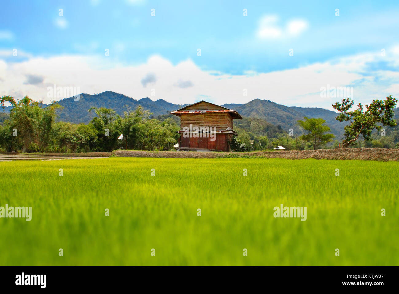 Bario sarawak hi-res stock photography and images - Alamy