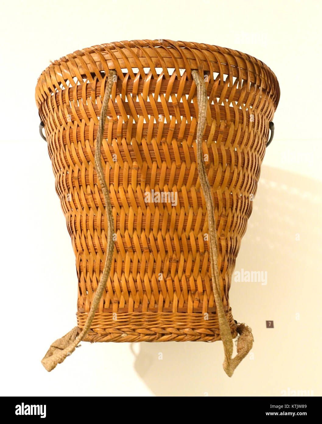 Basket with straps, Hmong Trang, Vo Nhai, Thai Nguyen, 2002 Vietnamese ...