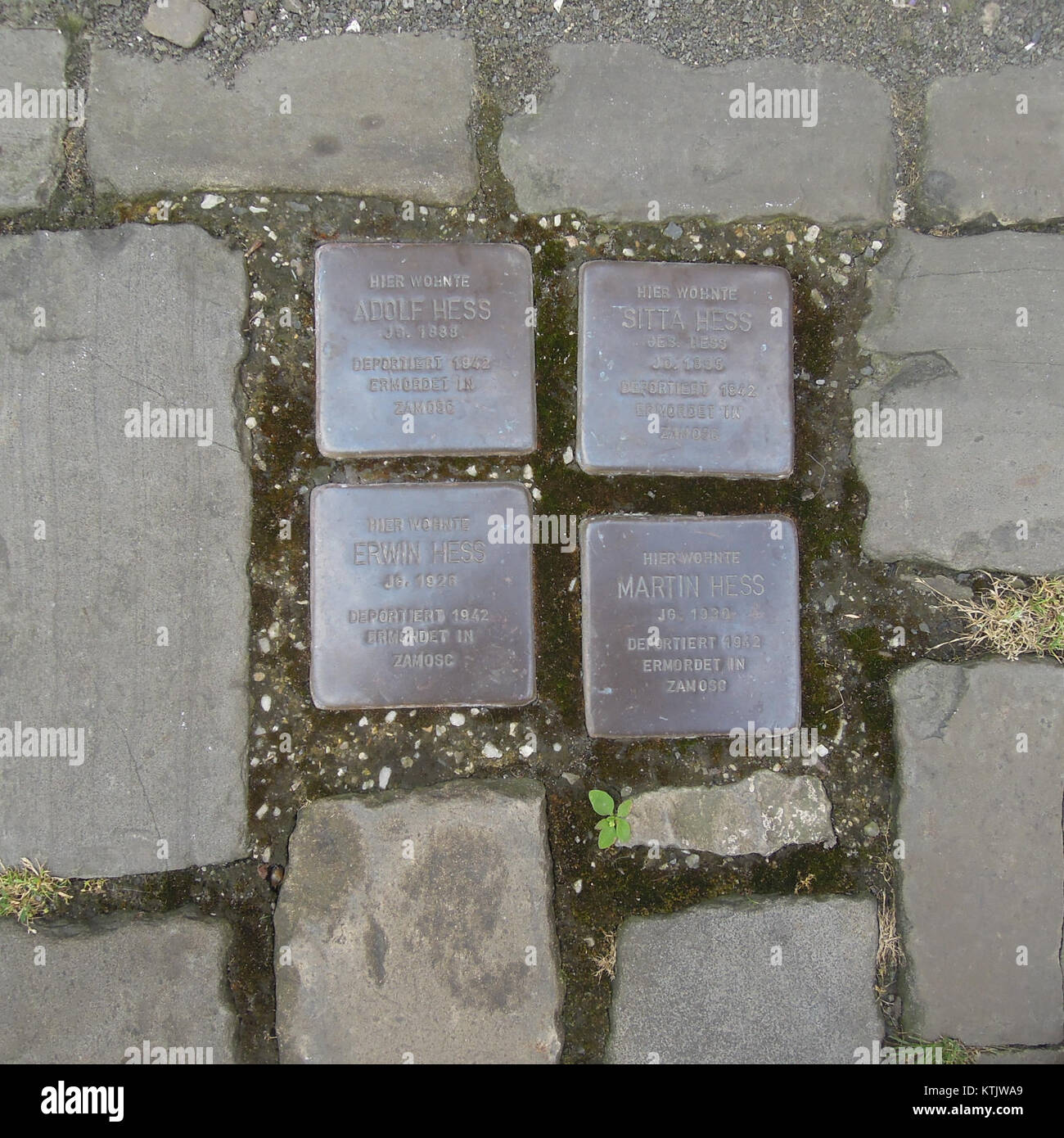 The building at Wallstr. 97 in Bad Laasphe, Germany, is a historical ...