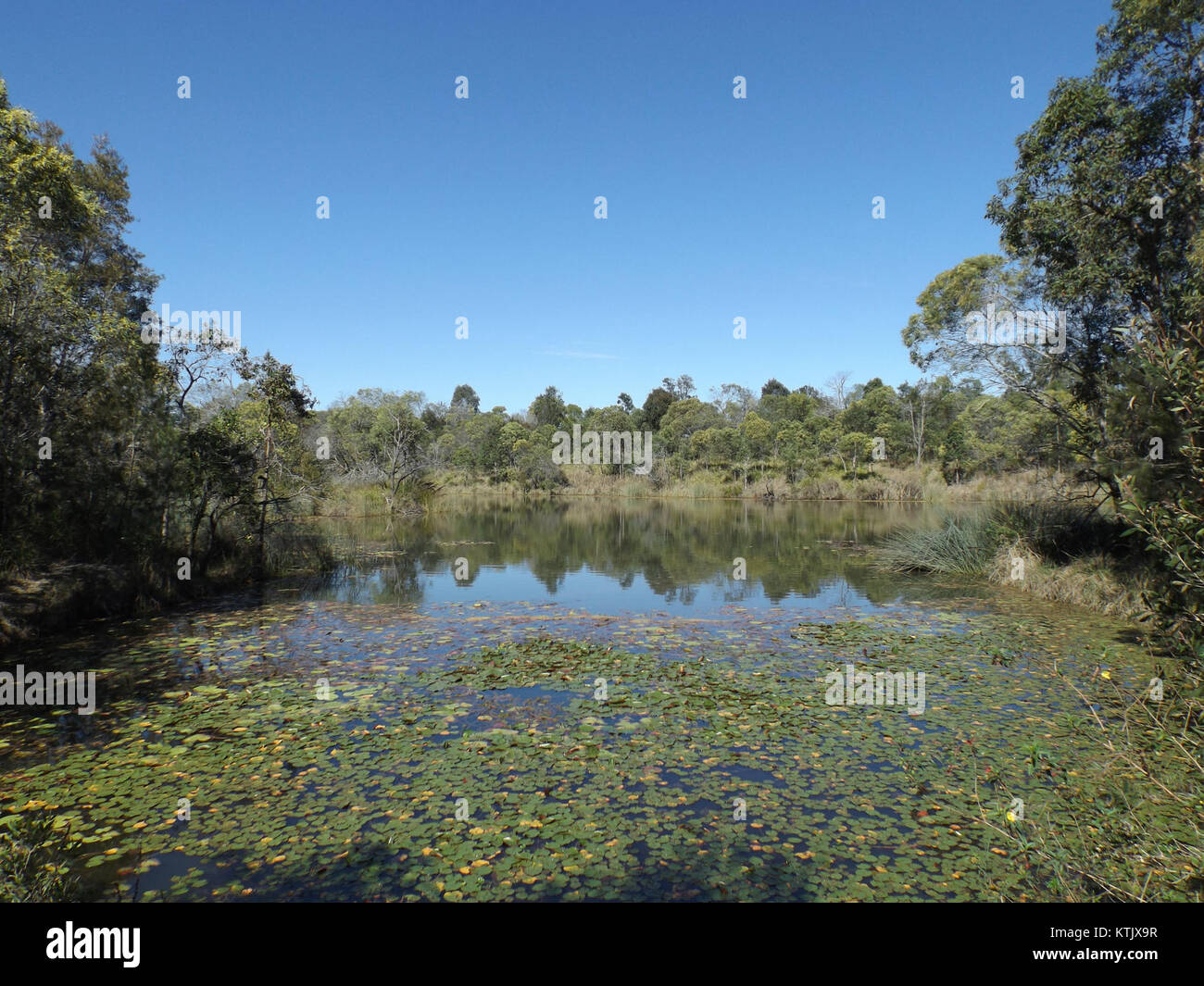 Wetland management australia hi-res stock photography and images - Alamy